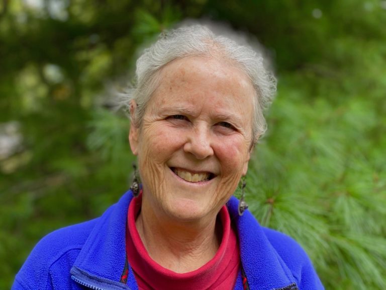 Uprooted Trees, Magicicadas and Climate Change - Princeton Public Library